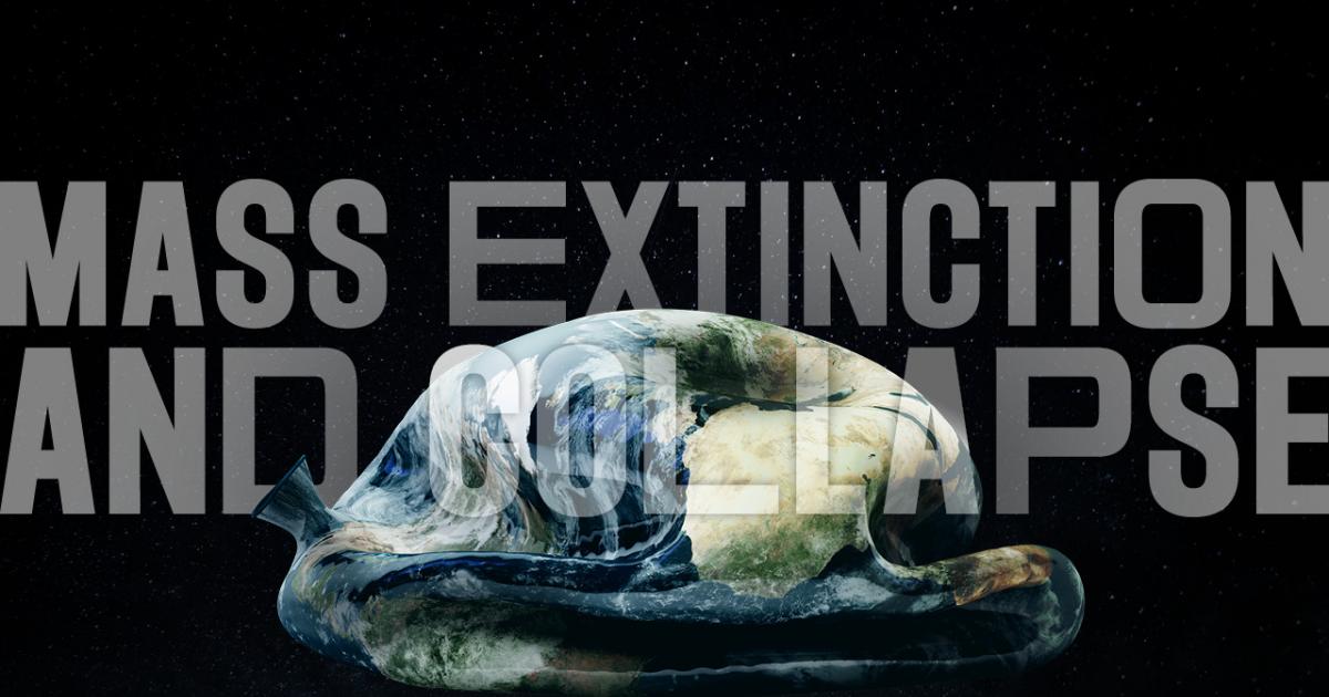 Paul R Ehrlich: Mass Extinction and Collapse | UNSW Sydney